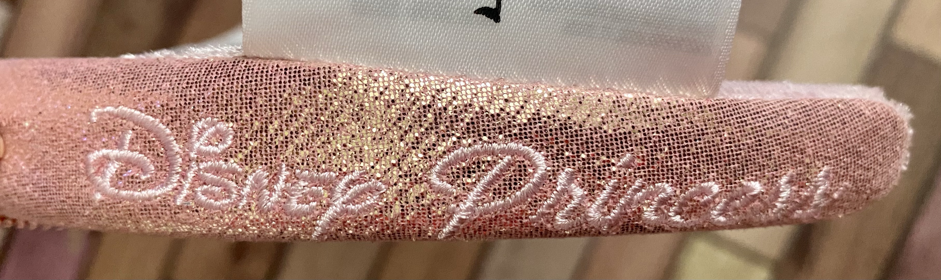 Princess Ears – Minnie Ear Collectors